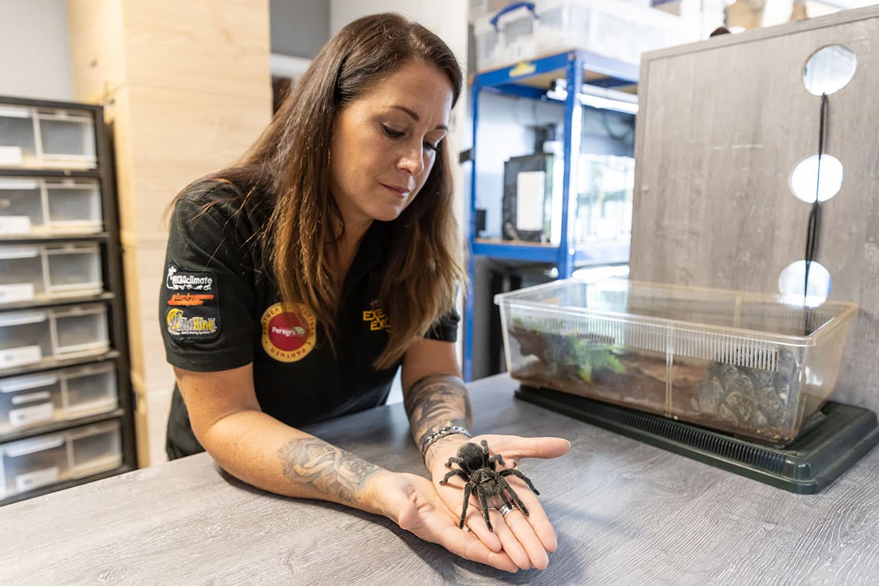 Client Spotlight: Exeter Exotics UK- 365 Finance